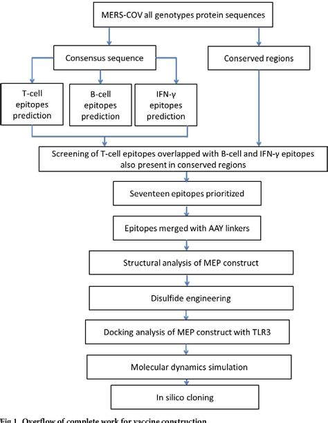 Figure 1 From Rational Design Of Multi Epitope Based Subunit Vaccine By