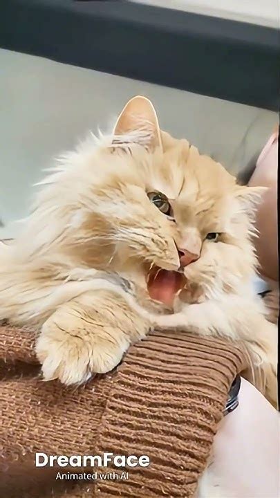 우리 죠죠는 노래도잘해♡ Youtube