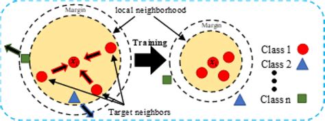 Graphical Illustration Of Distance Metric Optimization Before Training