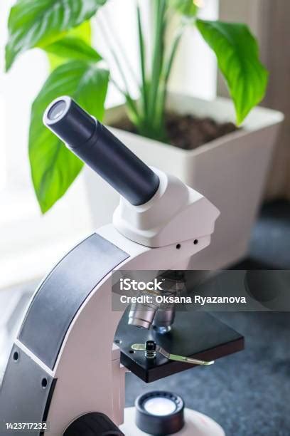 다양한 과학 생물학 화학 의학 연구 실험실 재료에 대한 현미경 클로즈업 0명에 대한 스톡 사진 및 기타 이미지 0명 Dna 가정 생활 Istock