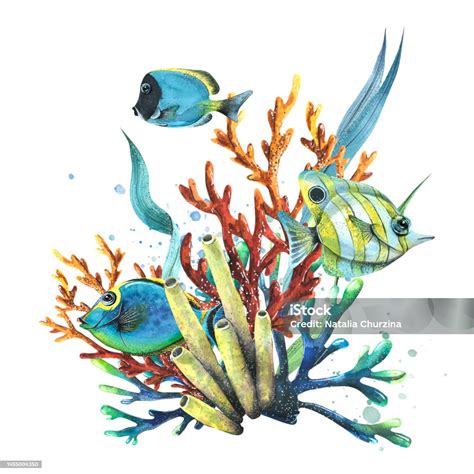 바다 스폰지 산호 조류 및 열대 밝은 물고기 수채화 그림입니다 열대어 컬렉션의 구성 여름과 해변 프린트의 장식과 디자인 장식