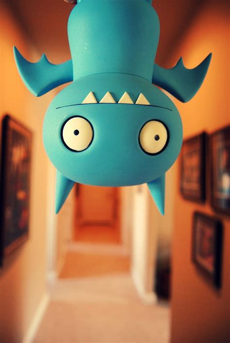 Hanging Bat Blog David Delarosa Flickr