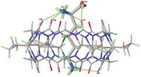 Hostguest Interaction Of Complex 2 Download Scientific Diagram