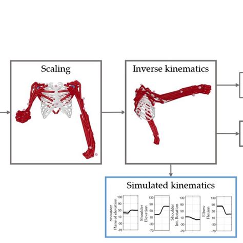 Workflow For Data Analysis In Opensim And Matlab Marker Trajectories