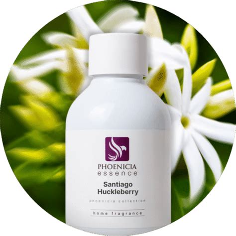 Santiago Huckleberry Phoenicia Essence