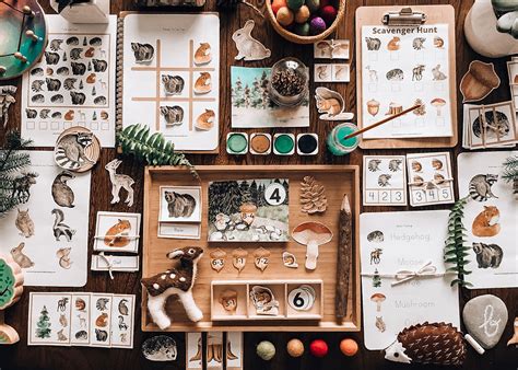 In The Forest Learning Pack Ftl Of Homeschooling