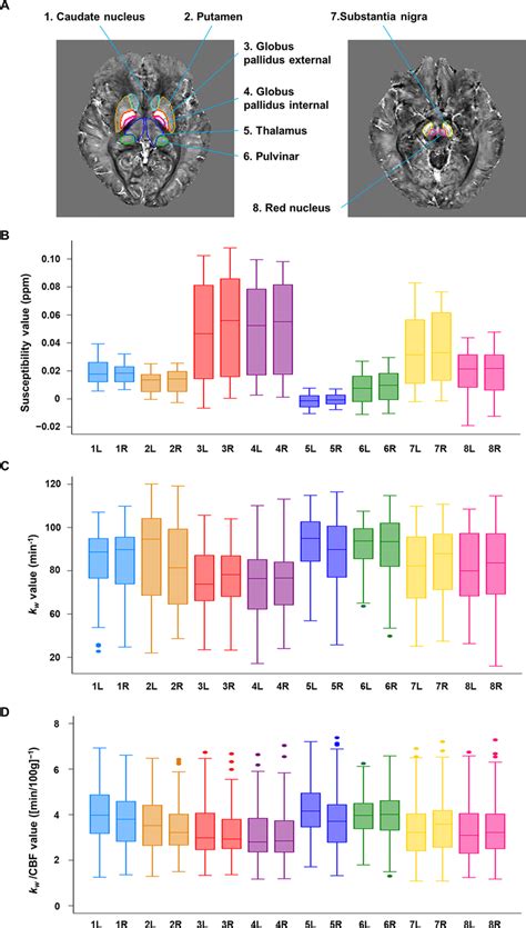 Atlas Based Analysis The Selected Anatomical Regions In The Deep Download Scientific Diagram