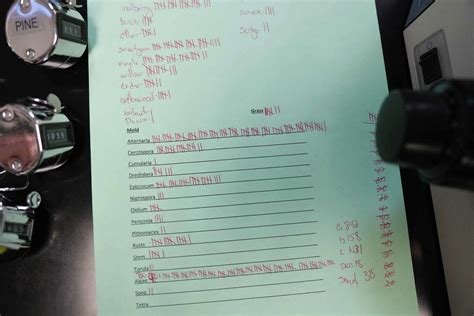 Pollen Count In Houston Today