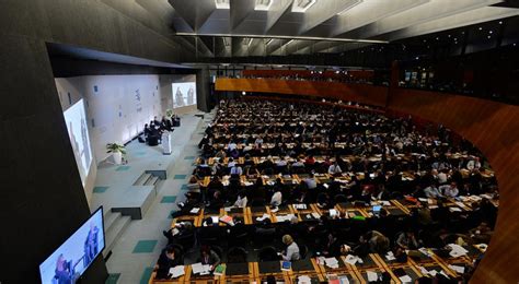 Crisis Or Opportunity In The Multilateral Trade System Iatp