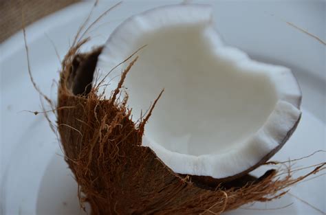 Dude Bones A Coconut And Gets Disgusting Surprise The Blemish