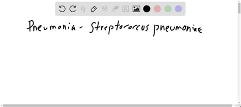 ⏩solvedwhat Shape Is Pneumococcus The Organism That Causes Numerade