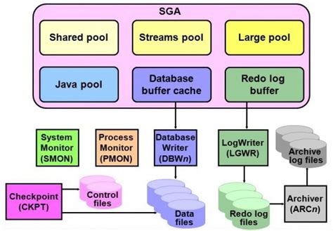 AdministraciÓn De Base De Datos ¿qué Es Un Sga De Oracle