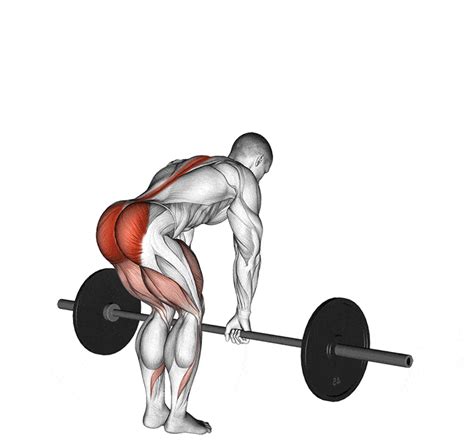 Best Hamstring Workouts Your Leg Day Is Missing For Sure