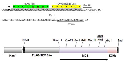 Pflag Tev Vector Bio Bharati Life Science