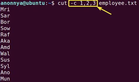The “cut” Command In Linux 8 Practical Examples Linuxsimply