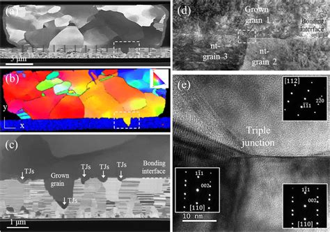 Observation Of Anisotropic Grain Growth Behavior Under The Bonding Download Scientific Diagram