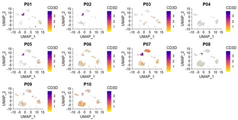 2023 11 28 直播单细胞图表美化 seurat数据结构 featureplot dotplot vlnplot nebulosa如何