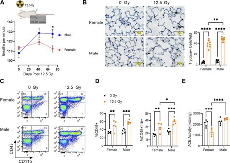 Biological Sex Differences In Renin Angiotensin System Enzymes Ace And
