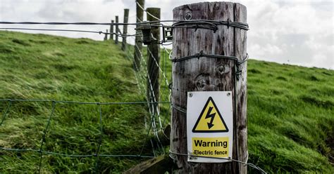 Virtual Fencing Vs Electric Fencing For Cattle