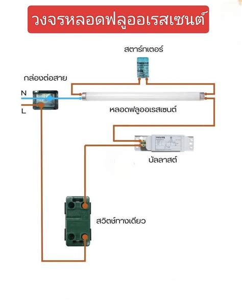 สาระ วจรหลอดฟลูออเรสเซนต์ Facebook