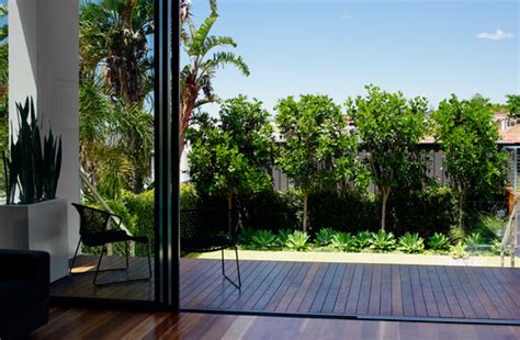 What Are The Trees Along The Fence Line