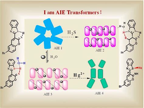 Schematic Illustration Of The Probe With H 2 S And Hg 2 In Different Download Scientific