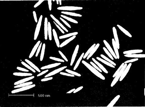 Preparation Method Of Monodisperse Silver Nano Eureka Patsnap