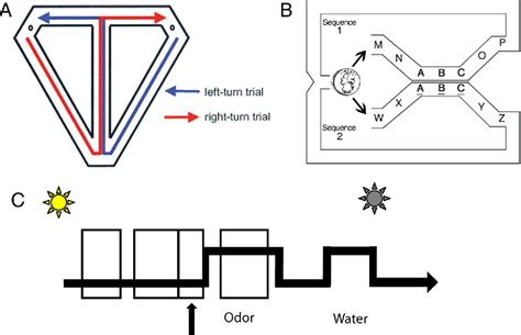 Figure 1 From Behavioral Systems Cognitive Hippocampal Neurons Encode Different Episodes In
