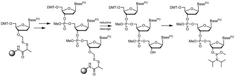 Solid Phase Assembly Of Fully Protected Trinucleotide Building Blocks For Codon Based Gene Synthesis