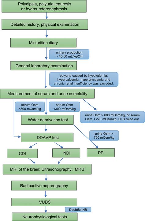 Diagnostic Flowchart For Di And Di With Nb Osm Osmolality Ddavp