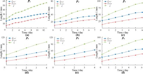 Figure 2 From Fundamental Understanding Of Tea Growth And Modeling Of