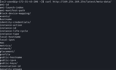 Aws Vpc Endpoint 배치그룹 메타데이터