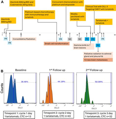 First Report Of Response To Tarlatamab In A Patient With Histologic