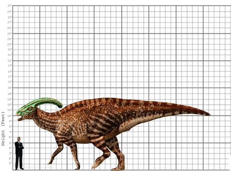 My Parasaurolophus Size Comparison By Ethanthomas2022 On Deviantart