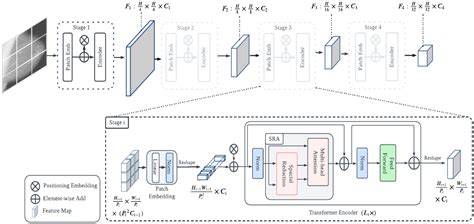 Vision Transformer Based Transfer Learning For Mammogram Classification