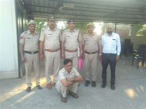 पंचकुला पुलिस द्वारा 84 9 किलो पोस्त के साथ 1 गिरफ्तार Demokratic Front