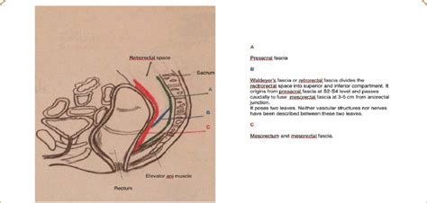 Retrorectal Space Primary Cystic Lesions Of The Retrorectal Space Mri
