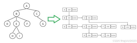 数据结构之顺序结构二叉树超详解顺序二叉树的构建 Csdn博客 数据结构之顺序结构二叉树超详解顺序二叉树的构建 Csdn博客