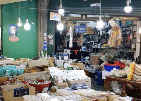 【한국】수원 화성 벚꽃 투어｜벚꽃구경 And 수원시장 And Bbq 런치｜서울출발 Kkday