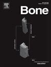 Bone杂志 Endocrinology And Metabolism杂志 好期刊