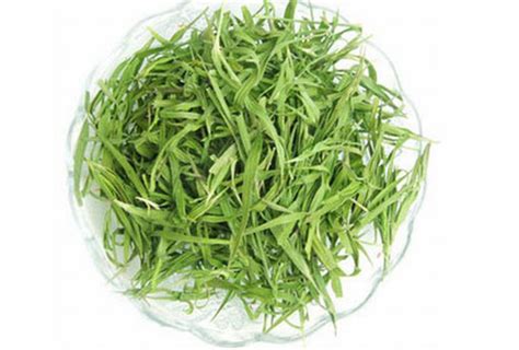 竹叶尖图片 竹叶图片风景图片 大山谷图库