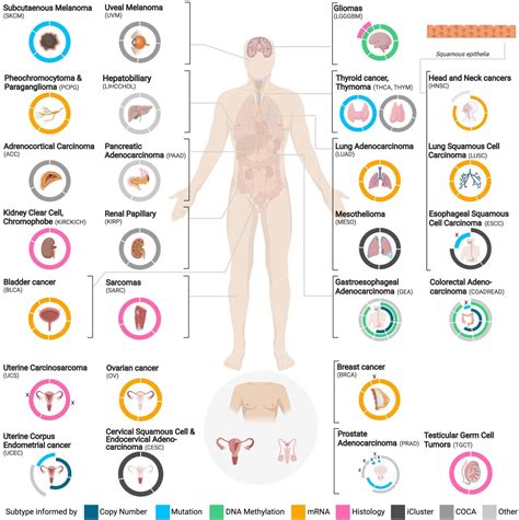 What Are Probiotics And Do You Really Need Them
