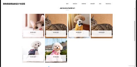 Java毕设项目宠物救助网站的设计与实现计算机（附源码系统数据库lw） Csdn博客