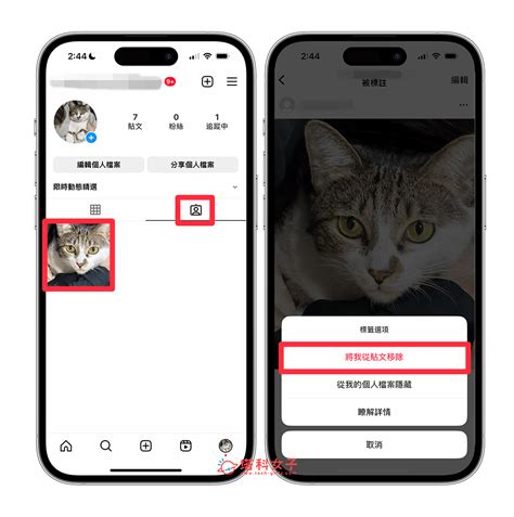 Ig 被標記貼文在哪？如何隱藏或將 Ig 被標記隱藏恢復？完整教學 塔科女子