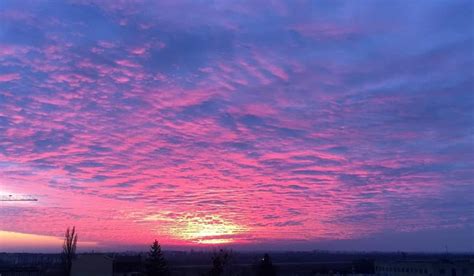 Kateees Toys Сейчас очень популярна игра Among Us🌸 Это классическая мафия переделанная на