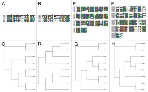Multiple Sequence Alignments Using Steep Clustalw Or Mustang And