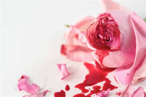 Кровотечение после секса 8 причин