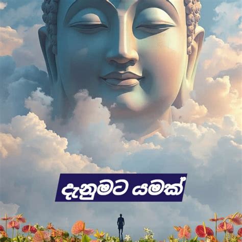 ඇන්තුරියම් ඕකිඩ් And විසිතුරු පැළ ගැනුම් සහ විකුණුම් ලොව විශාලතම විද්‍යුත් වාණිජ සමාගම් සමග