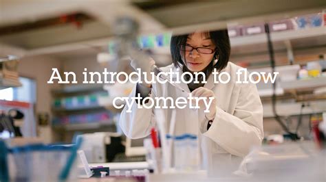 流式细胞术培训 Abcam