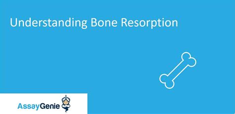 Understanding Bone Resorption Key Definitions And Processes Assay Genie